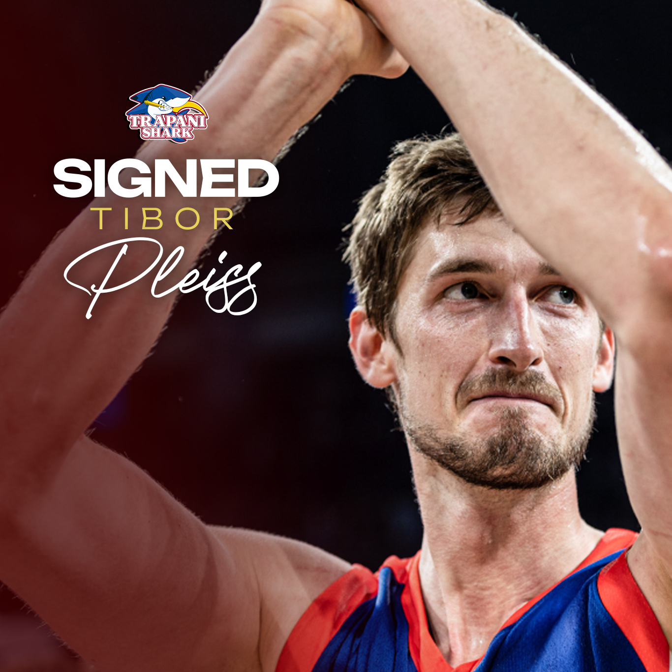 Trapani, ufficiale il colpo Tibor Pleiss - Basket Magazine